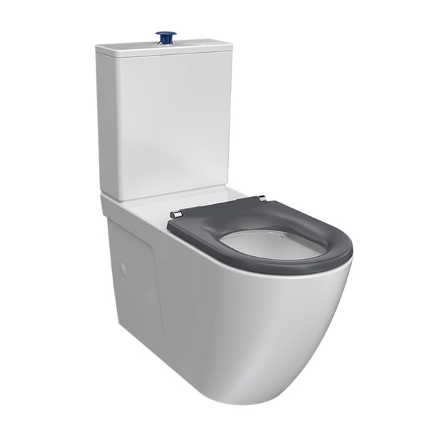 Ellisse Accessible Wall Faced Suite Rimless (Including Grey Seat ...