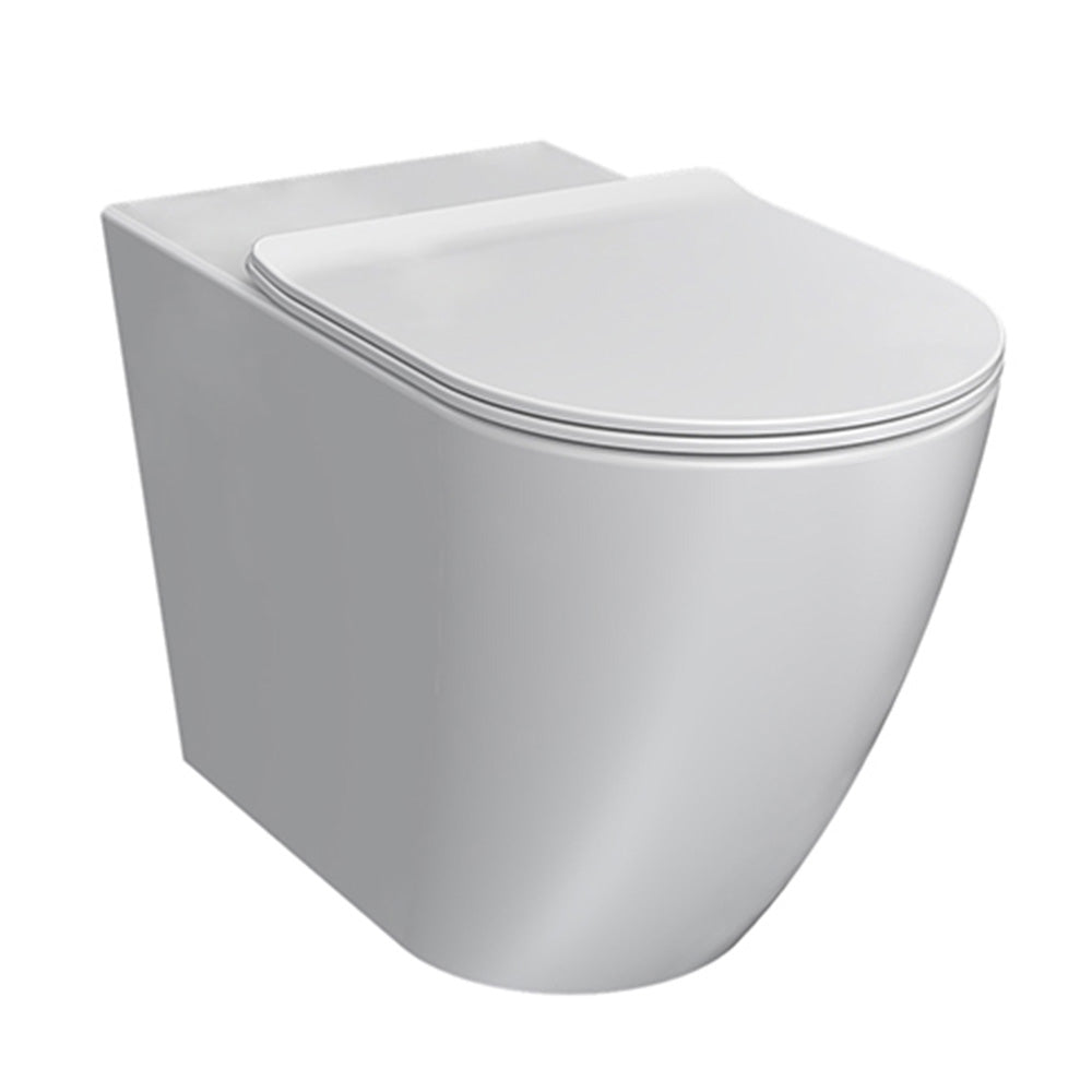 Ellisse II Ambulant Wall Faced Pan Rimless with Soft Close Seat ...