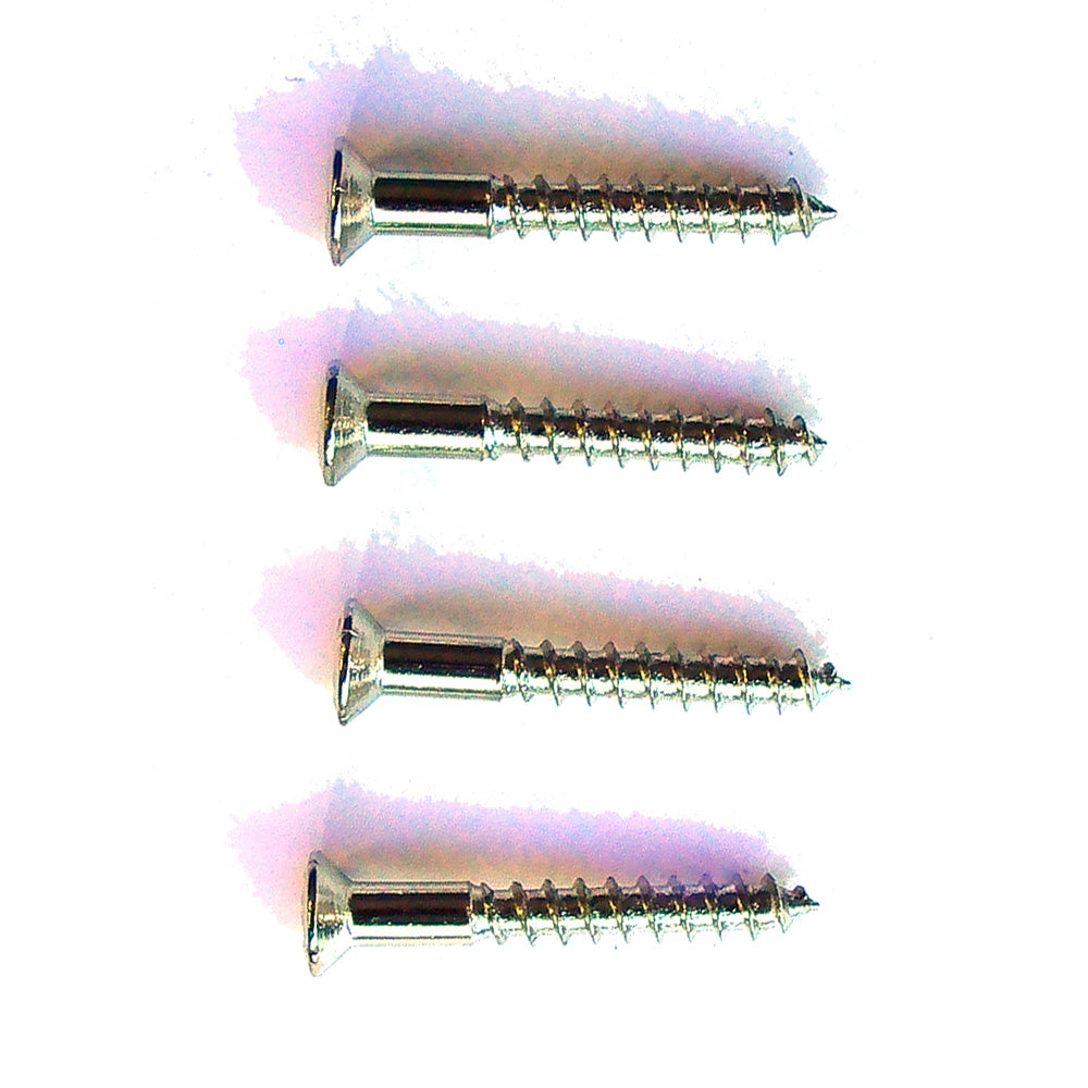 Packet of 4 Countersunk raised-head Fixing Screw - PARISI Doorware